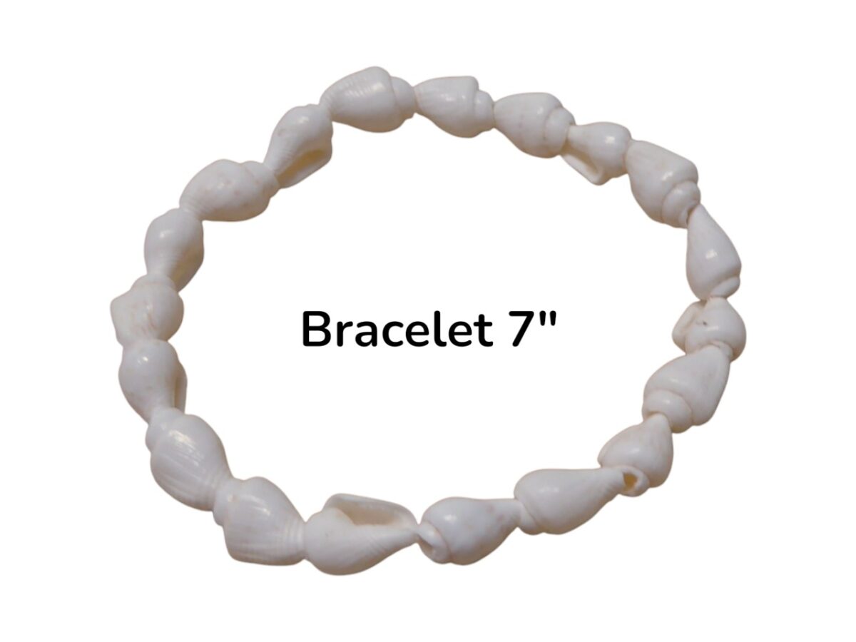 7″ Polished Nasa Shell Elastic Bracelet, MOQ-10pcs/bag – JKW LLC
